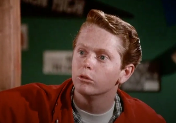 Cook | Happy Days Wiki | Fandom