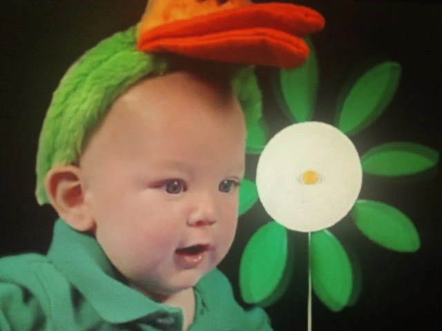 Macrae Long | Happy Baby Einstein Wiki | Fandom