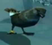 Boss Skua/Gallery | Happy Feet Wiki | Fandom