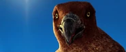 Boss Skua/Gallery | Happy Feet Wiki | Fandom
