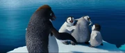 Bo (Boadicea)/Gallery | Happy Feet Wiki | Fandom