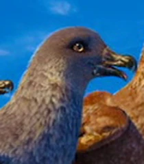 Happy Feet Skua Characters Names HAPPY FEET TWO Wallpapers