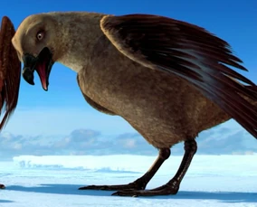 Happy Feet Skua Characters Names