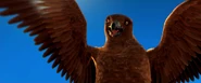 Boss Skua/Gallery | Happy Feet Wiki | Fandom