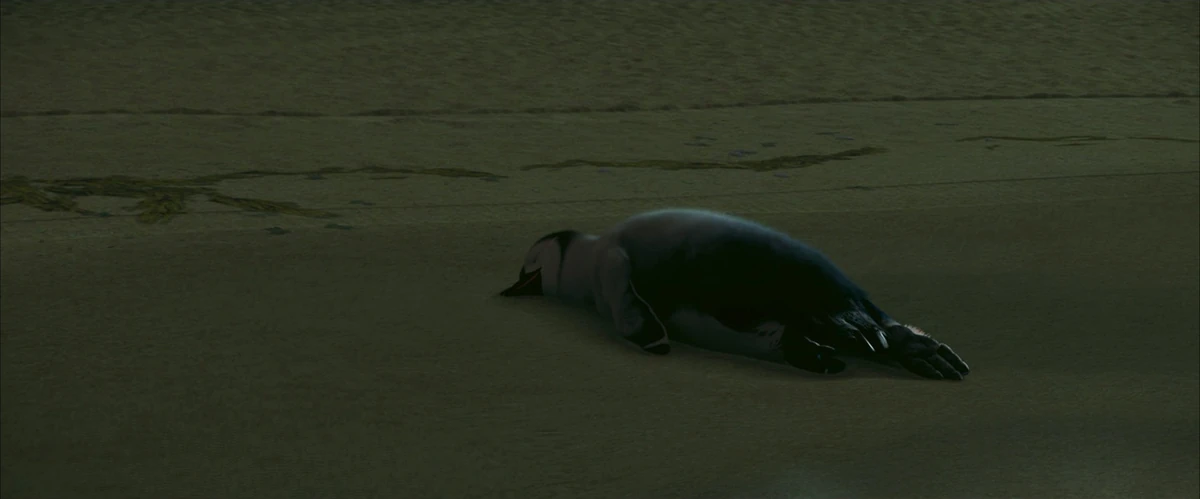 The Beach | Happy Feet Wiki | Fandom