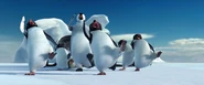 Rinaldo/Gallery | Happy Feet Wiki | Fandom