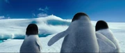 Bo (Boadicea)/Gallery | Happy Feet Wiki | Fandom