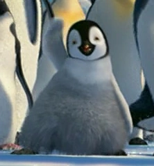 Erik/Gallery | Happy Feet Wiki | Fandom
