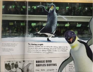 Mumble/Full Adult Plumage | Happy Feet Wiki | Fandom
