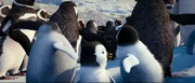 Bo (Boadicea)/Gallery | Happy Feet Wiki | Fandom