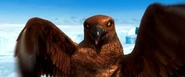 Boss Skua/Gallery | Happy Feet Wiki | Fandom