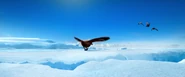Boss Skua/Gallery | Happy Feet Wiki | Fandom