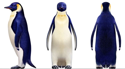how to draw mumble from happy feet