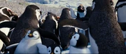 Bo (Boadicea)/Gallery | Happy Feet Wiki | Fandom
