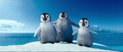 Bo (Boadicea)/Gallery | Happy Feet Wiki | Fandom