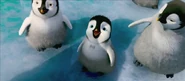 Atticus/Gallery | Happy Feet Wiki | Fandom
