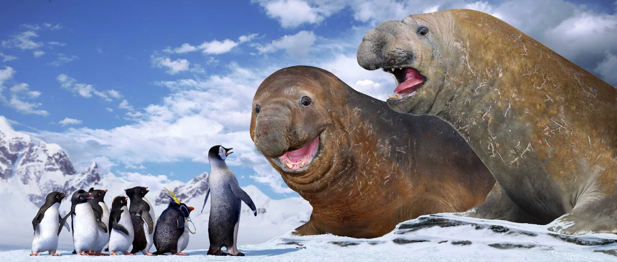 Amigos (group)/Gallery | Happy Feet Wiki | Fandom