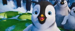 Elephant With Happy Feet 2 Eric