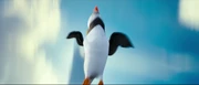 Sven/Gallery | Happy Feet Wiki | Fandom