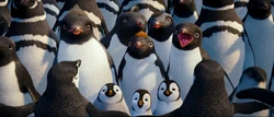 Happy Feet Rinaldo