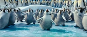 Bo (Boadicea)/Gallery | Happy Feet Wiki | Fandom