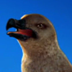 Happy Feet Skua Characters Names HAPPY FEET TWO Wallpapers