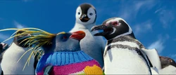Lovelace Penguin