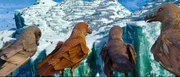 Boss Skua/Gallery | Happy Feet Wiki | Fandom