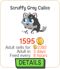 Scruffy Grey Calico | Happy Pets Wiki | Fandom