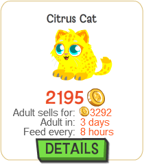Citrus Cat | Happy Pets Wiki | Fandom
