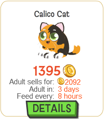 Calico Cat | Happy Pets Wiki | Fandom