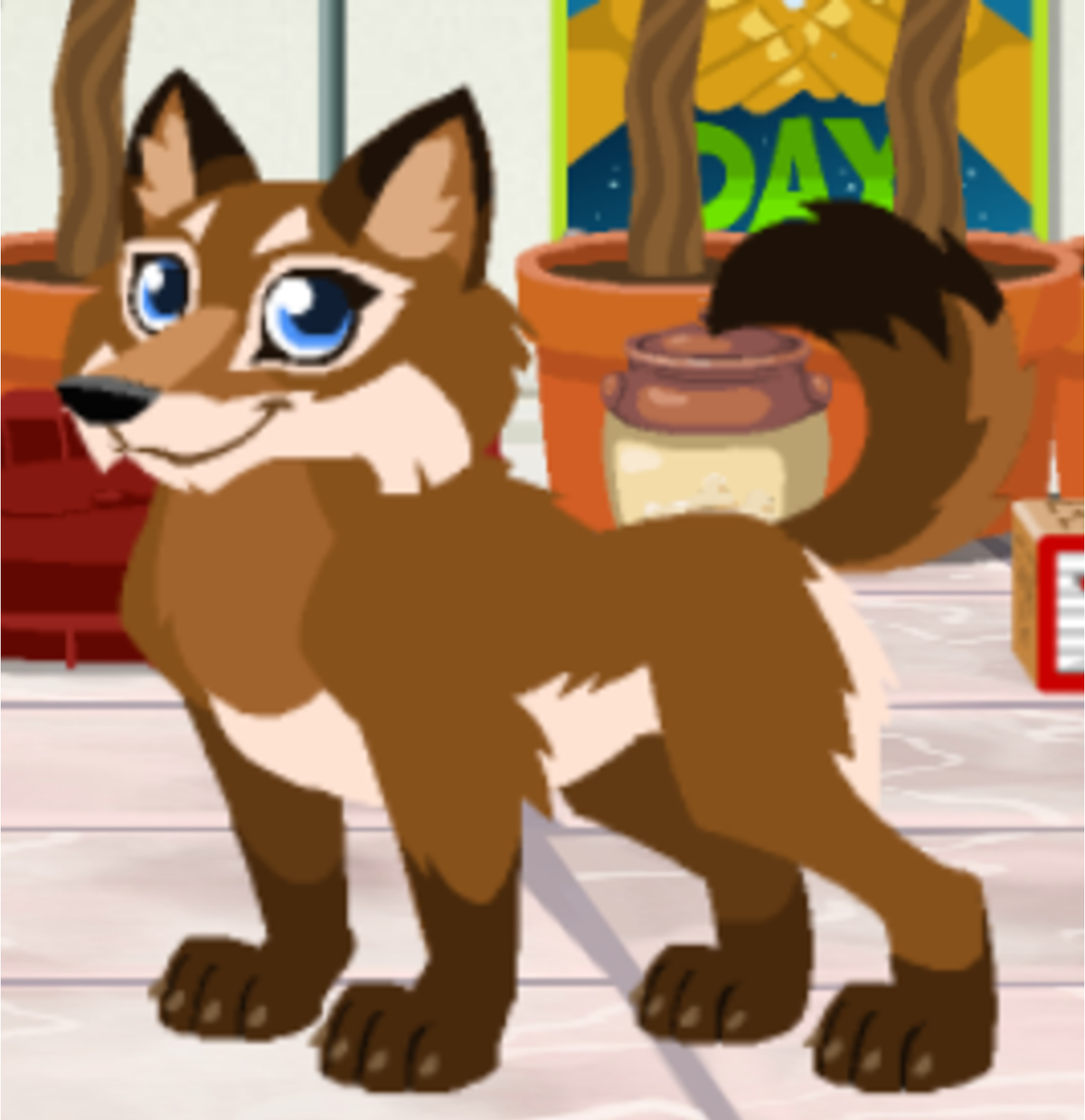 Brown Wolf | Happy Pets Wiki | Fandom