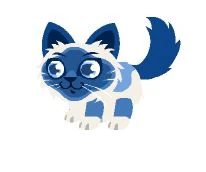 Blue Birman Cat | Happy Pets Wiki | Fandom