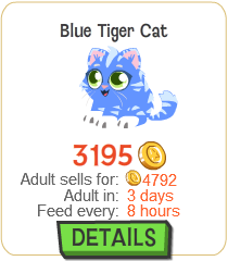 Blue Tiger Cat | Happy Pets Wiki | Fandom