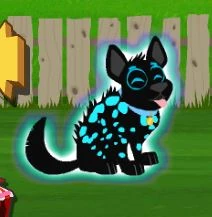 Touch | Happy Pets Wiki | Fandom