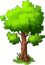 Oak Tree | Happy Street Wiki | Fandom
