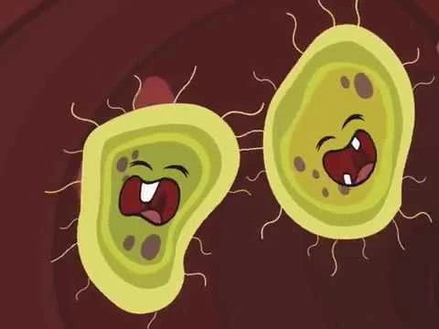 In a Jam | HappyTreeFriends вики | Fandom