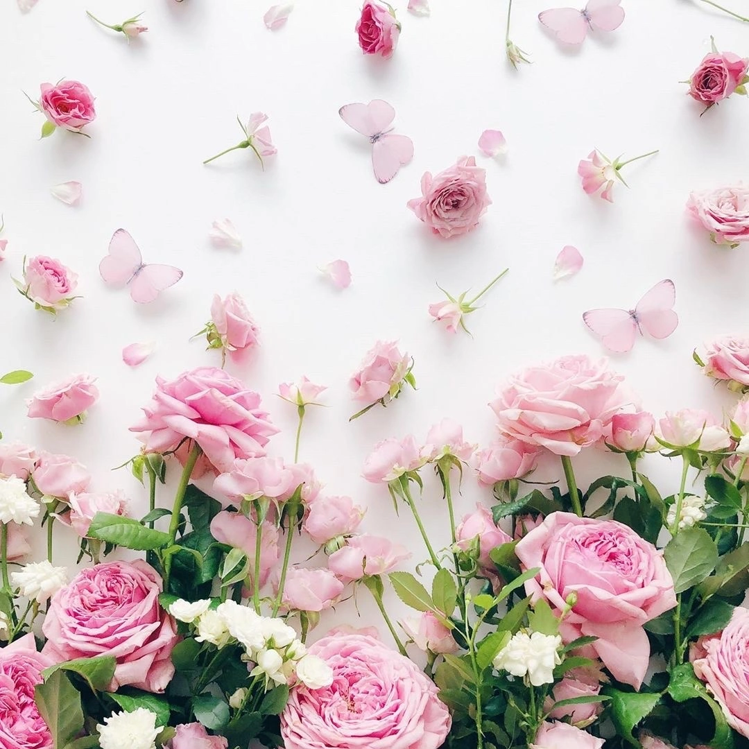 Mixtape : Syrah | Hara's Namayan Wiki | Fandom