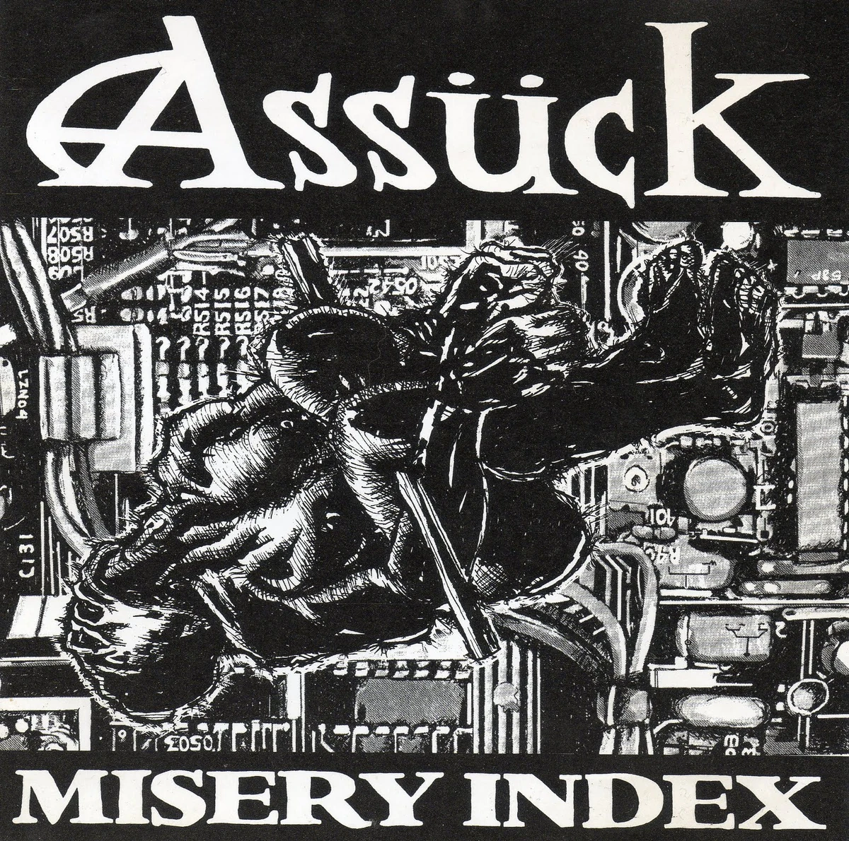 Assück | Hardcore Punk Wikia | Fandom