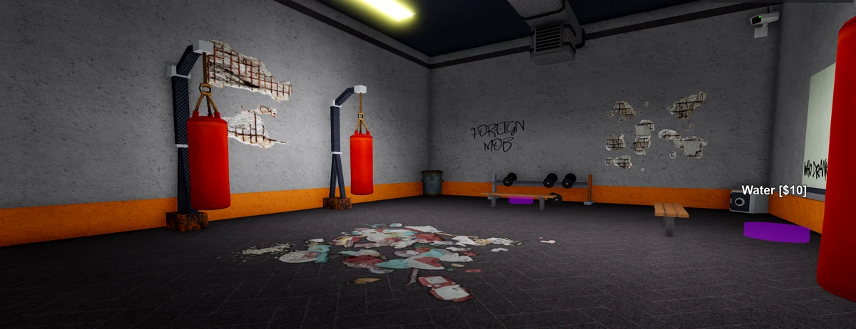 Gym | Life Sentence Wiki | Fandom
