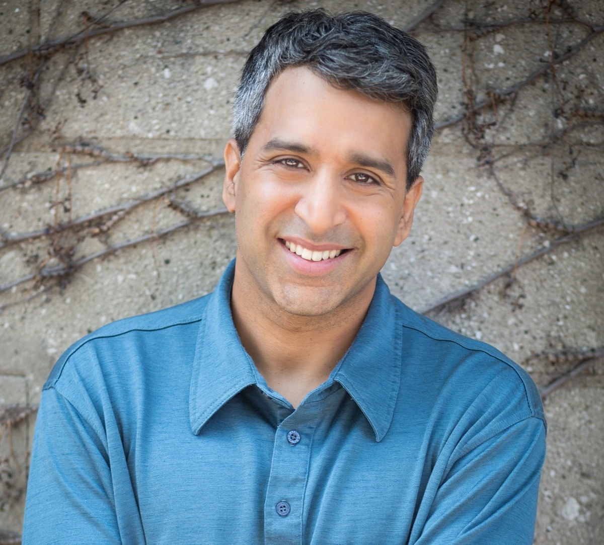 Vijay Mehta | The Hardy Boys Wiki | Fandom