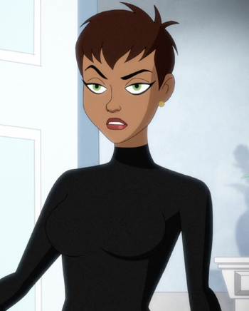 Catwoman | Harley Quinn Wiki | Fandom