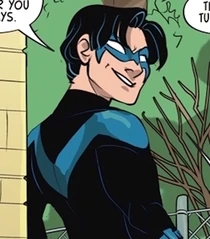 Nightwing | Harley Quinn Wiki | Fandom