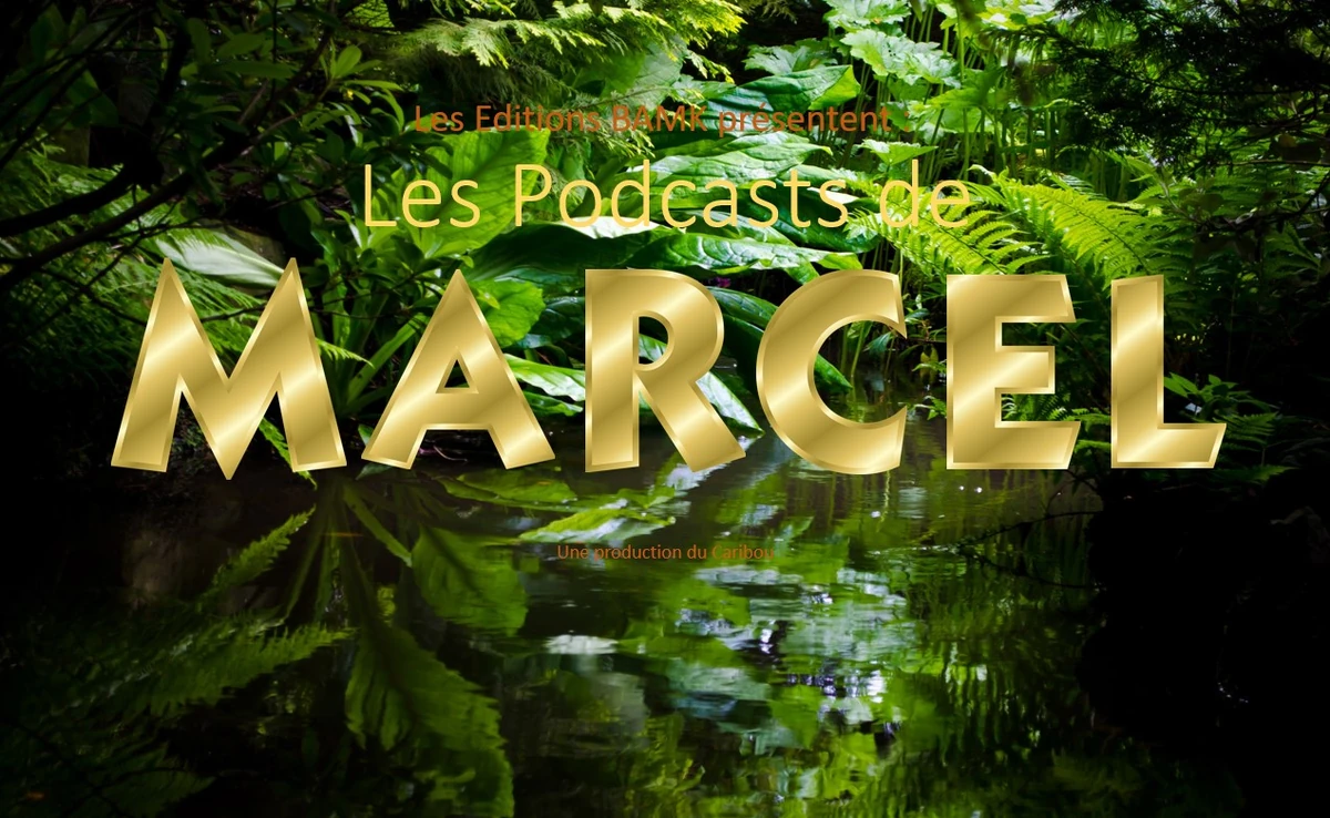 Les Podcasts de Marcel | Wiki Harold's Quest | Fandom