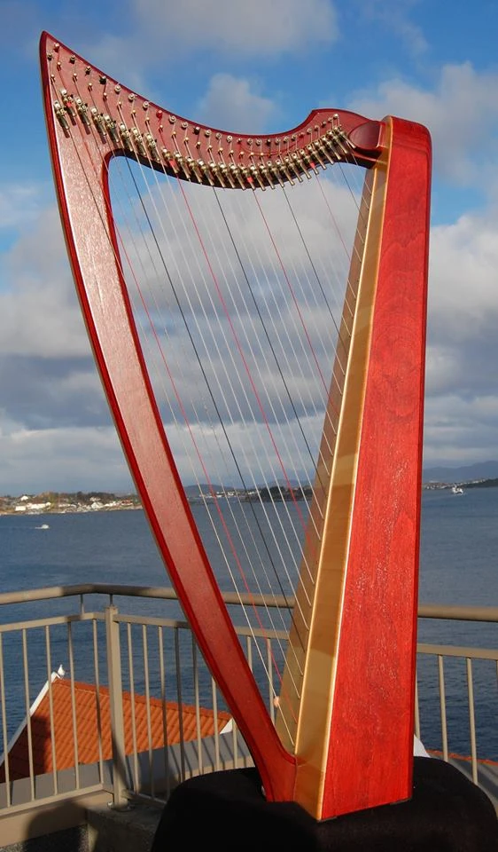 28 String Harp by Ferenc Papfalvy | Harp Wiki | Fandom