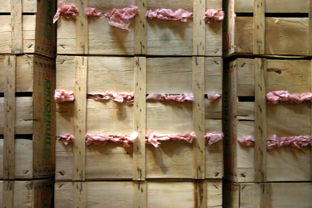 Make Your Own Harp Shipping Box | Harp Wiki | Fandom