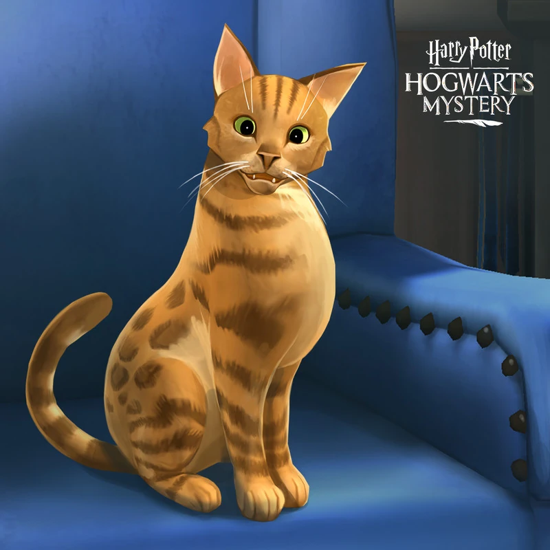 Cat | Harry Potter: Hogwarts Mystery вики | Fandom