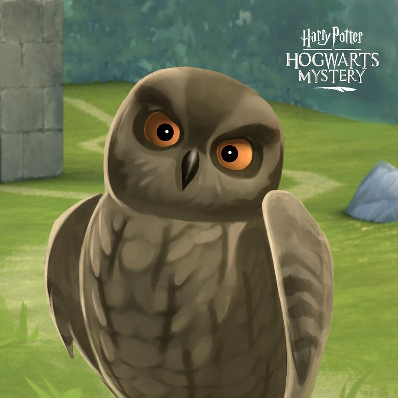 Owl | Harry Potter: Hogwarts Mystery вики | Fandom