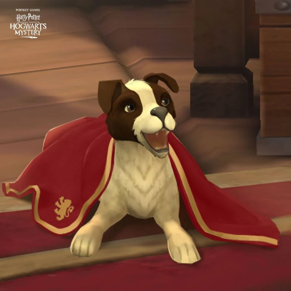 Crup | Harry Potter: Hogwarts Mystery вики | Fandom