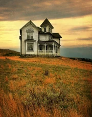 Andromeda Tonks | Harry Potter Mischief Wiki | Fandom